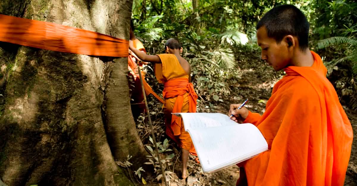 The fight for Areng Valley goes on - Rainforest Rescue - Rainforest Rescue