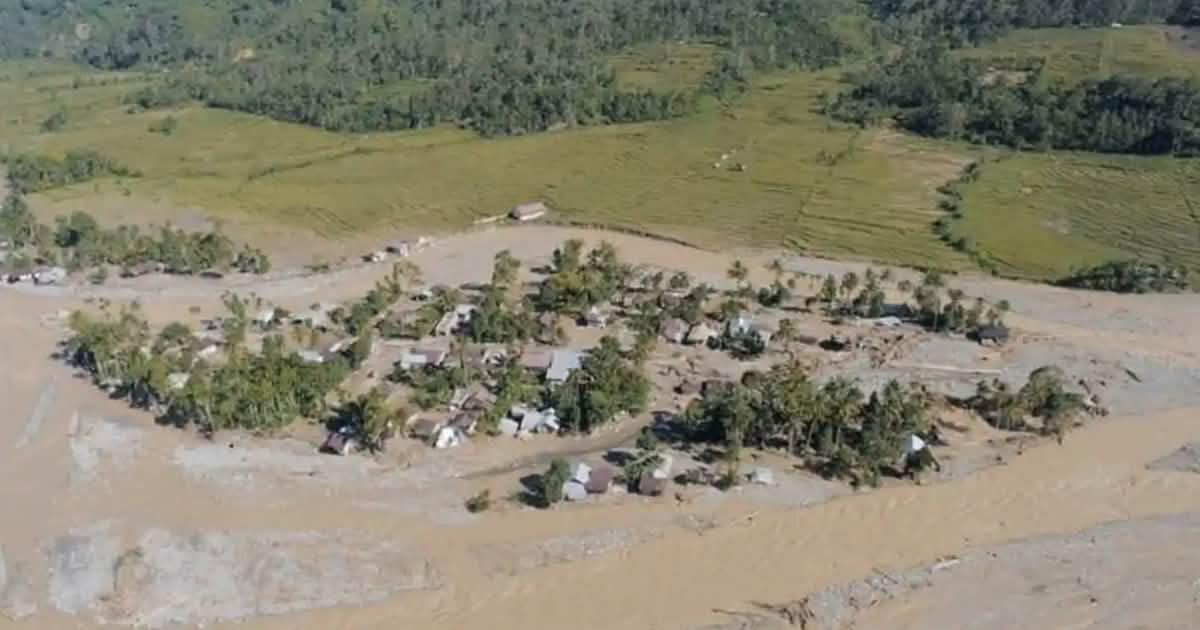 Cyclone and deforestation: twin disasters - Rainforest Rescue ...