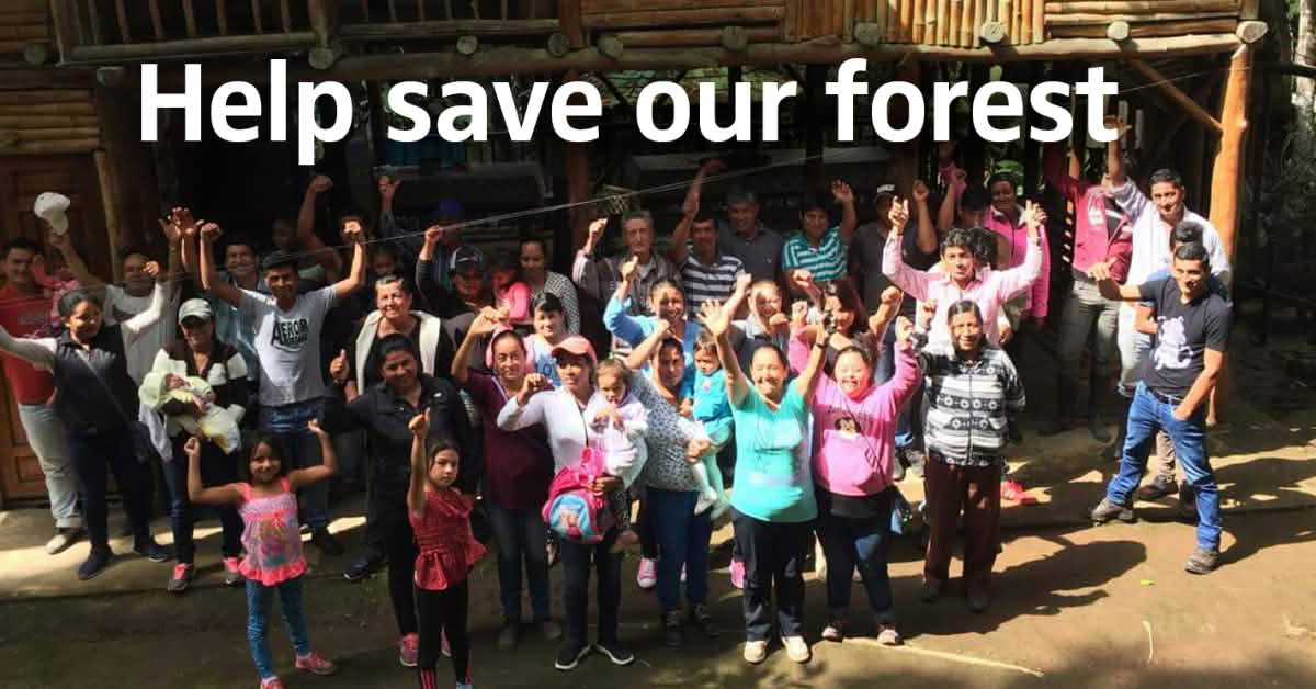 Ecuador: save the cloud forests for future generations - Rainforest ...