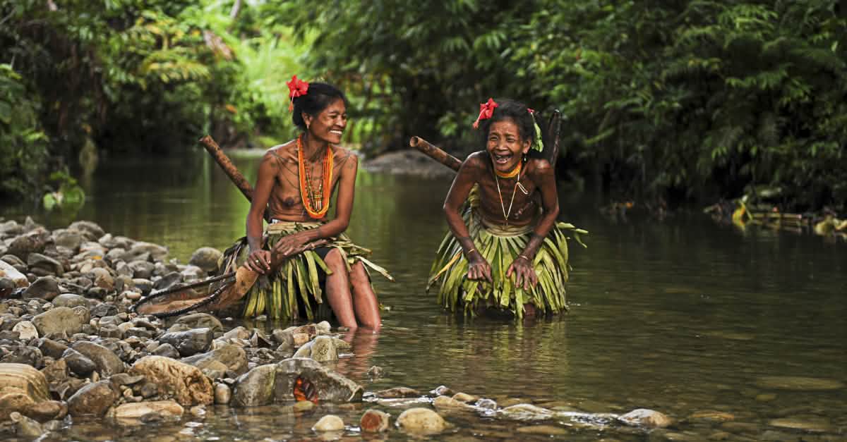 Siberut: our forest is not your biomass! - Rainforest Rescue ...