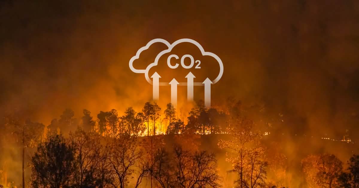 A call to the governments of the world: Protect our climate – save the ...