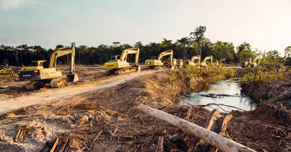 Keep loggers and the palm oil industry out of the Peruvian Amazon ...