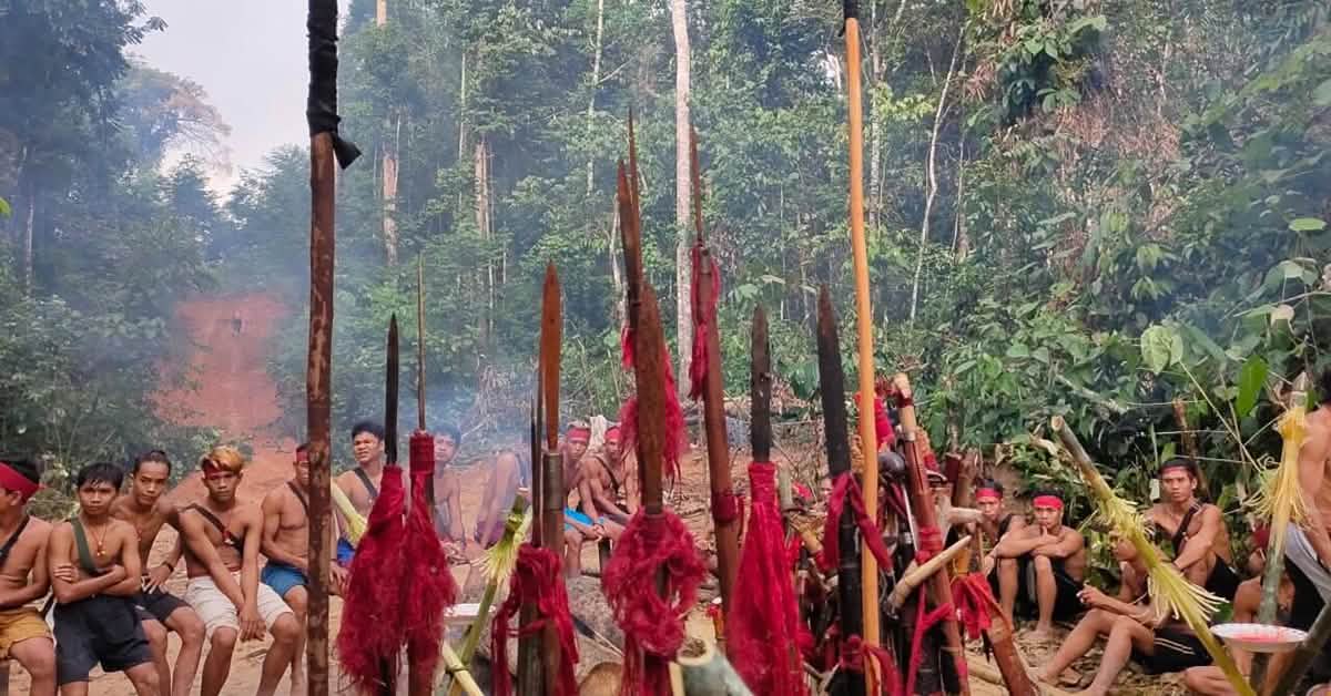Protecting Borneo’s rainforests and empowering Indigenous people ...