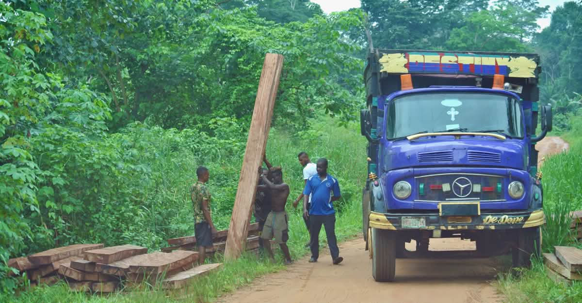 “Vanishing Forests” study names those responsible for deforestation ...