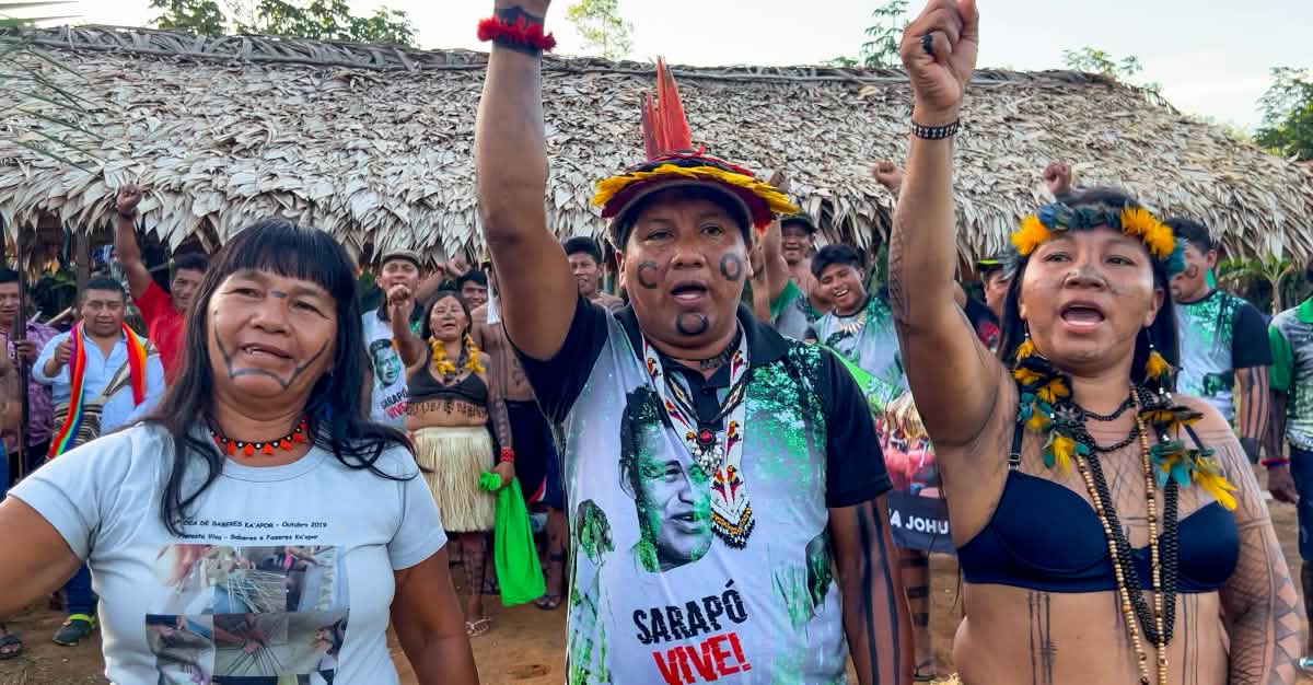 Court halts Wildlife Works' carbon trading project in the Amazon ...