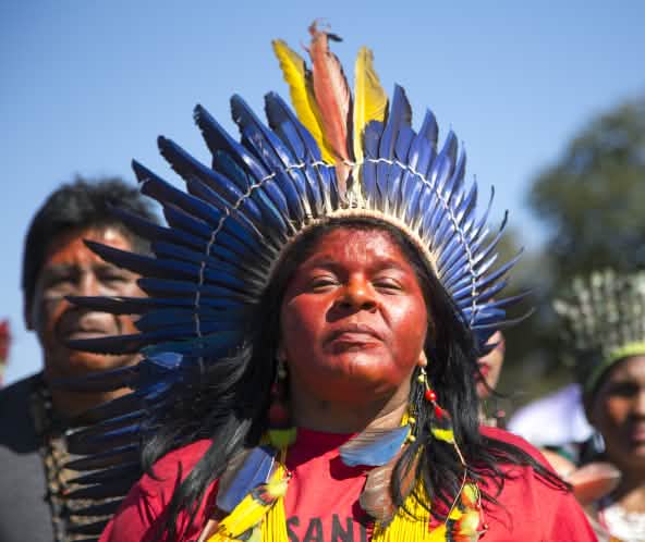 Search - Rainforest Rescue - Rainforest Rescue