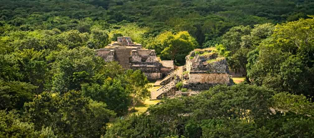 Preserving Latin America’s diversity - Rainforest Rescue - Rainforest ...