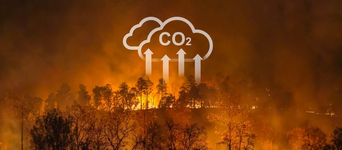 A call to the governments of the world: Protect our climate – save the ...