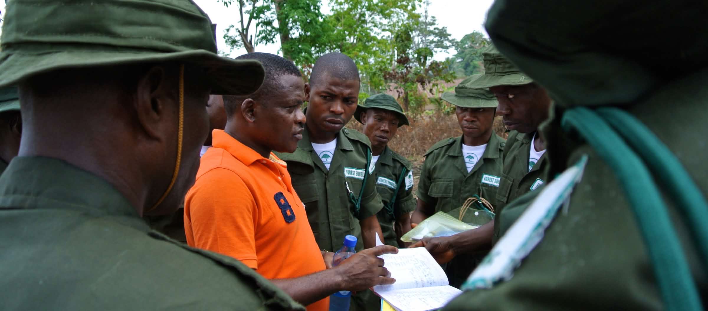 Eco-Guards: monitoring the forest at Afi Mountain - Rainforest Rescue