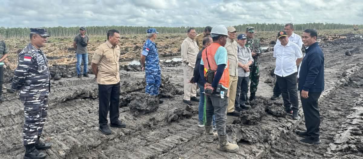 Commission report: PSN Merauke sugar and bioethanol project violates ...