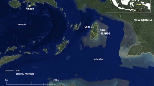 Indonesia: Carbon trading scheme threatens Aru Islands - Rainforest ...
