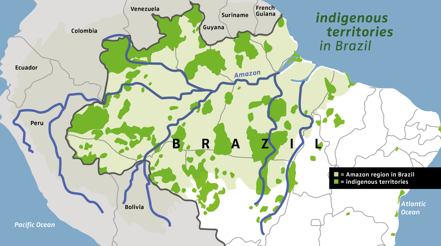 Brazil: Stop the assault on the Amazon rainforest! - Rainforest Rescue