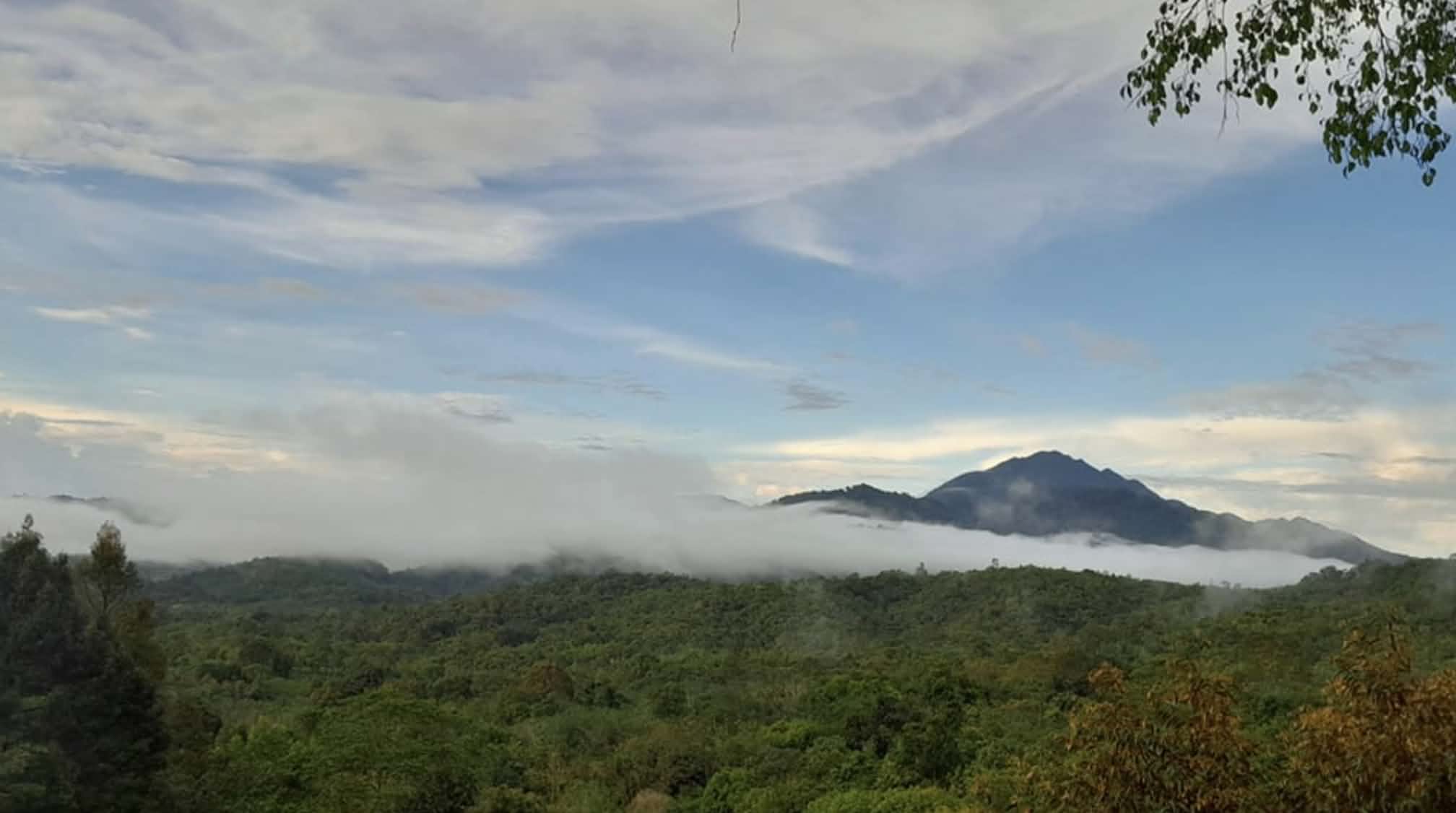 Borneo’s Dayak people a big step closer to formal recognition ...