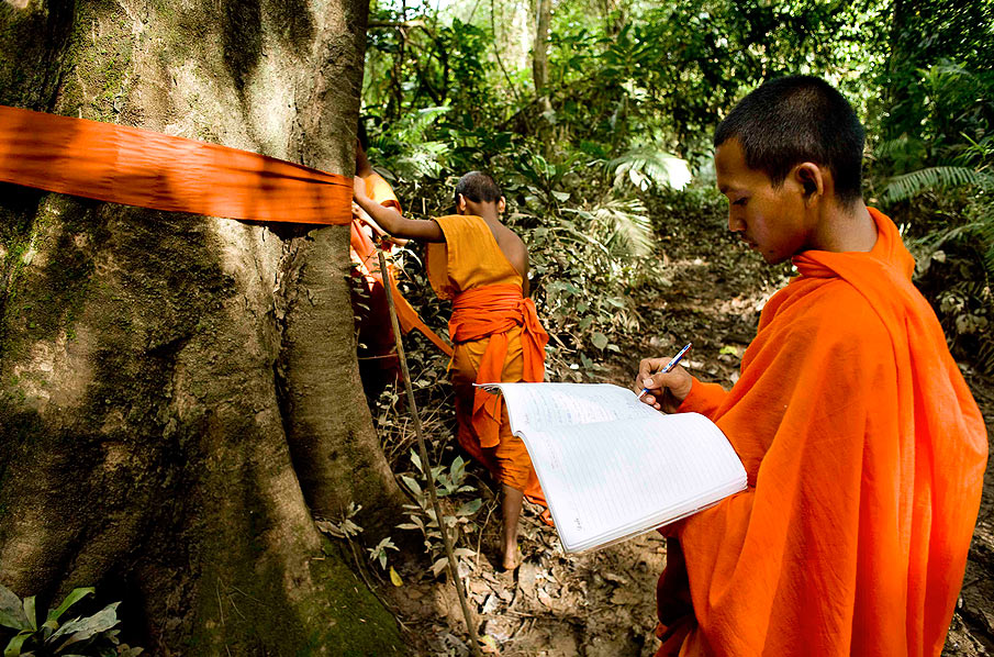 The fight for Areng Valley goes on - Rainforest Rescue