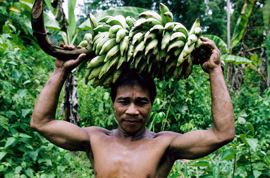 Pala Tribes Philippines