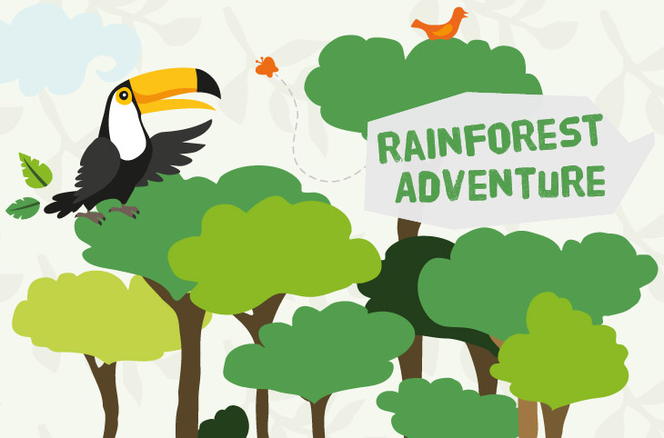 The rainforest for young explorers - Rainforest Rescue