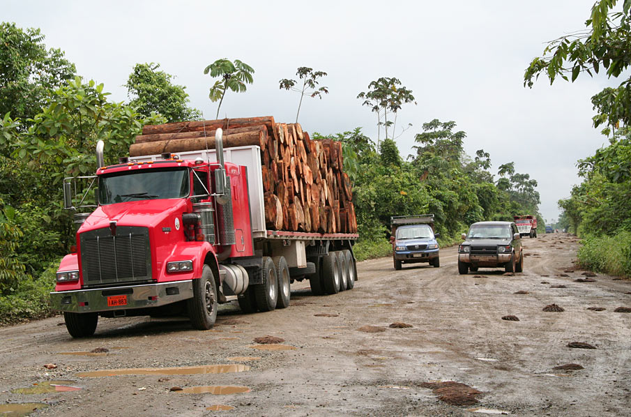Australia outlaws import and sale of illegally logged timber ...